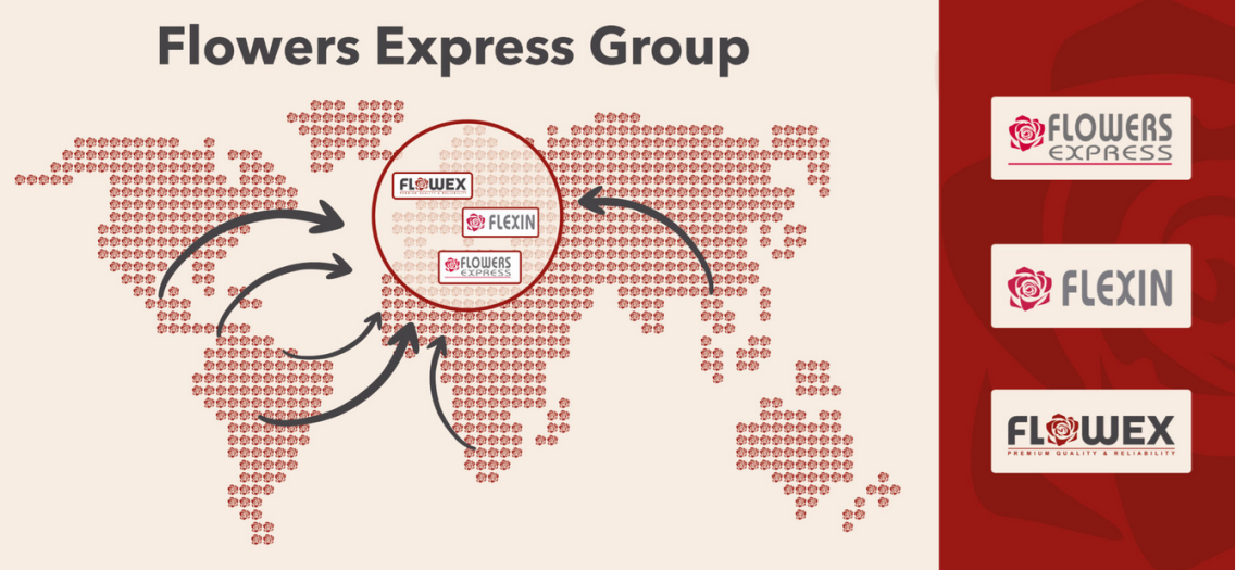 Sobre nosotros - Flexin